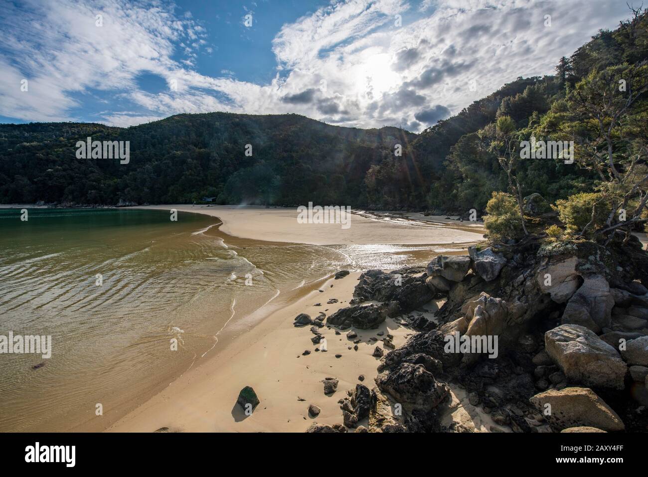 Sandy beach beach of Stillwell Bay, Abel Tasman National Park, Tasman, South Island, New Zealand ...