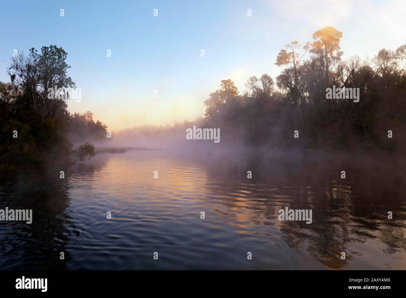 River landscape, early morning, rising morning fog, sunrise, symbol of ...