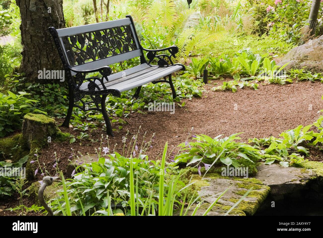 Antique grey wood and black cast-iron metal sitting bench and Hosta ...