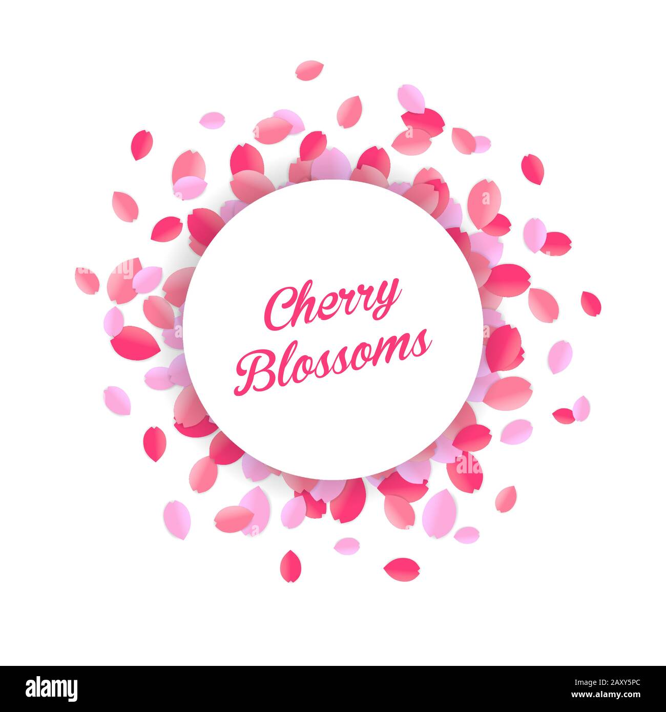Floral cherry blossom petals frame vector illustration Stock Vector ...