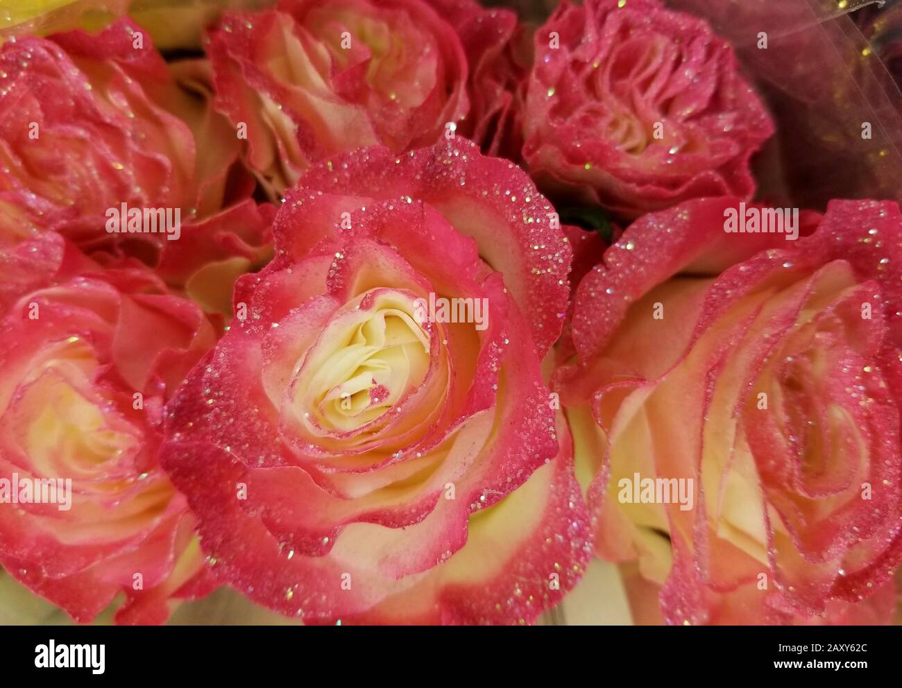 Pink roses decorated with glitter Stock Photo - Alamy