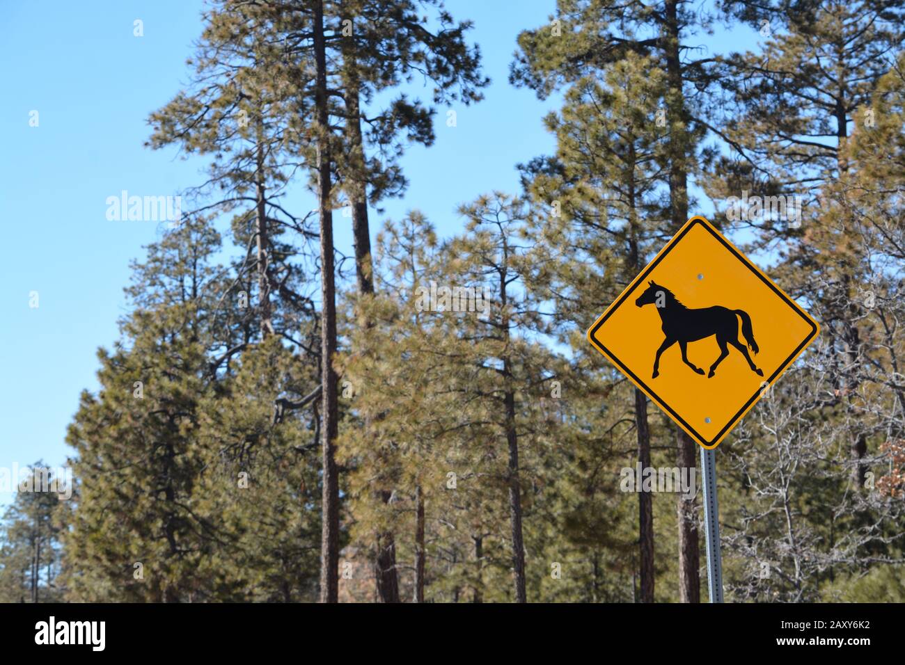 Free roaming horses caution sign. Payson, Gila County, Tonto National ...