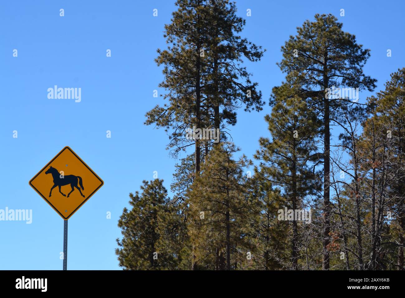 Free roaming horses caution sign. Payson, Gila County, Tonto National ...