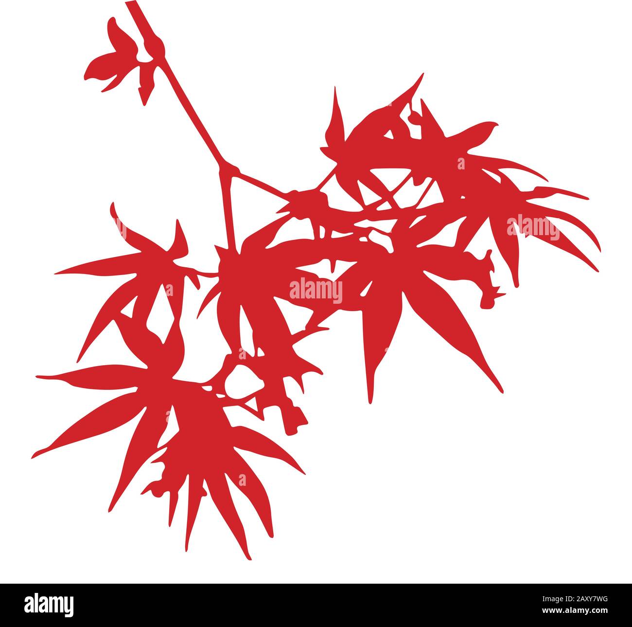 Branches leaves maple tree Stock Vector Images - Alamy