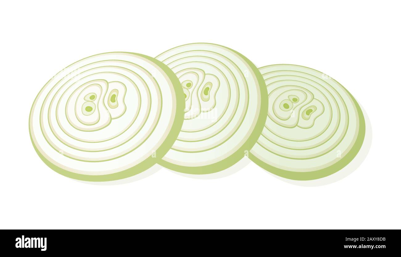 Sliced onion isolated on white background. Rings of onion. Vector ...