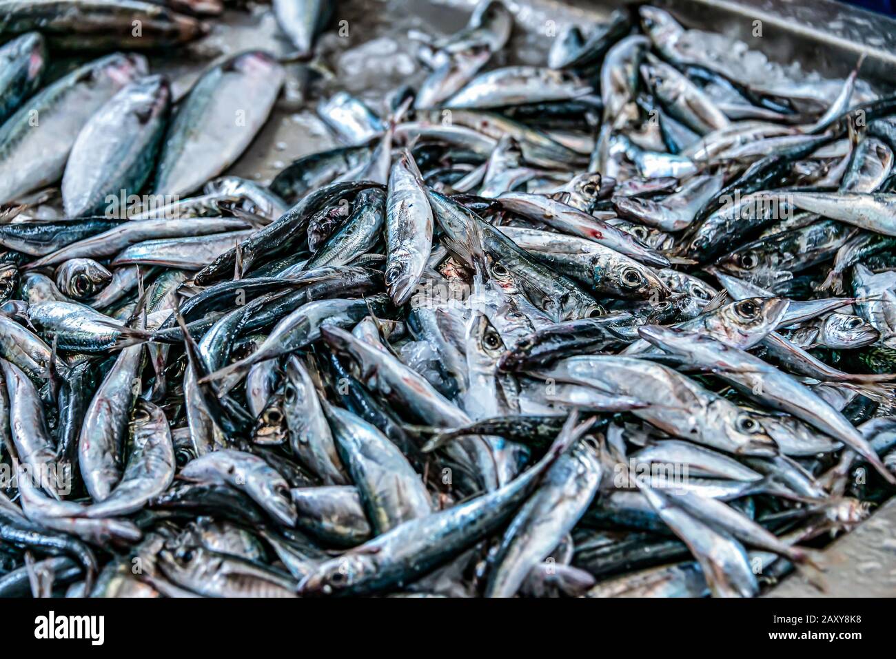 Madeira island seafood hi-res stock photography and images - Alamy
