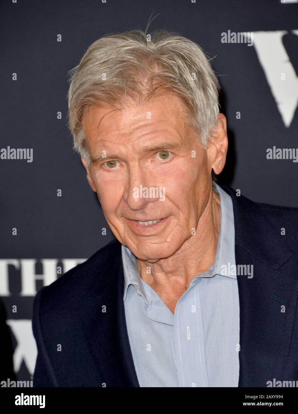 The call of the wild harrison ford hi-res stock photography and images ...