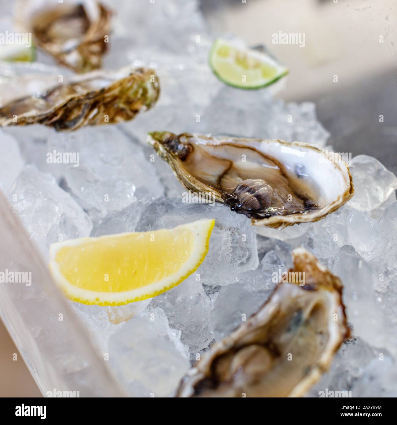 Oyster stand hi-res stock photography and images - Alamy