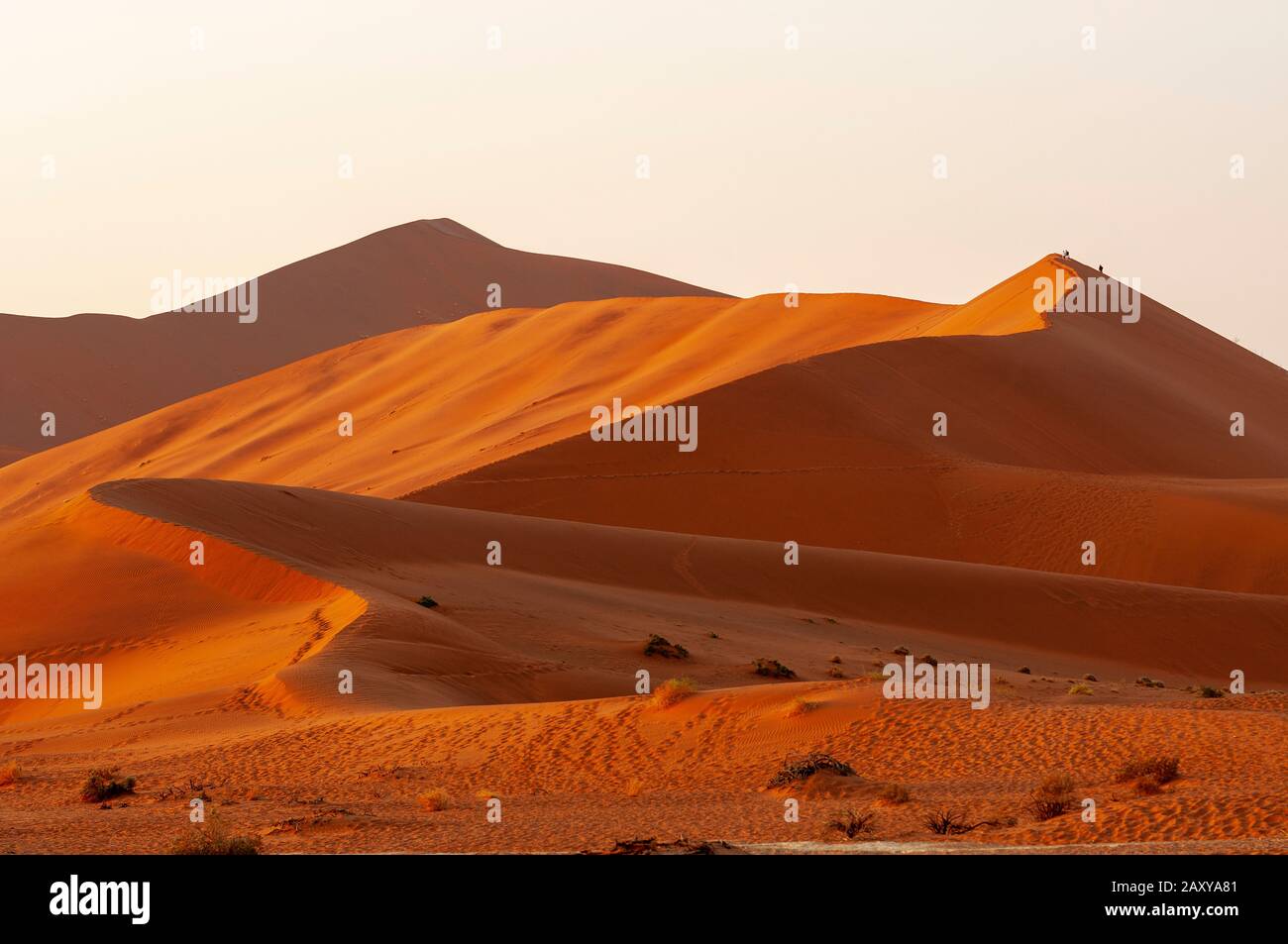 The red dunes of sossusvlei hi-res stock photography and images - Alamy