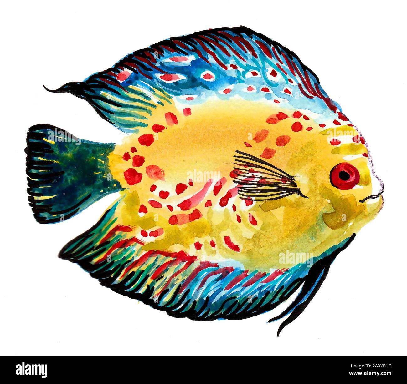 Yellow fish painting hi-res stock photography and images - Alamy
