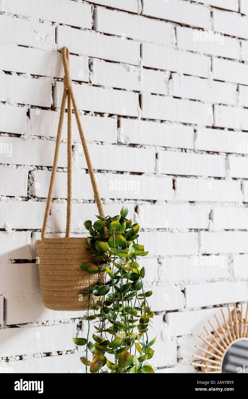 wall design hanging tree pot on white brick background Stock Photo - Alamy