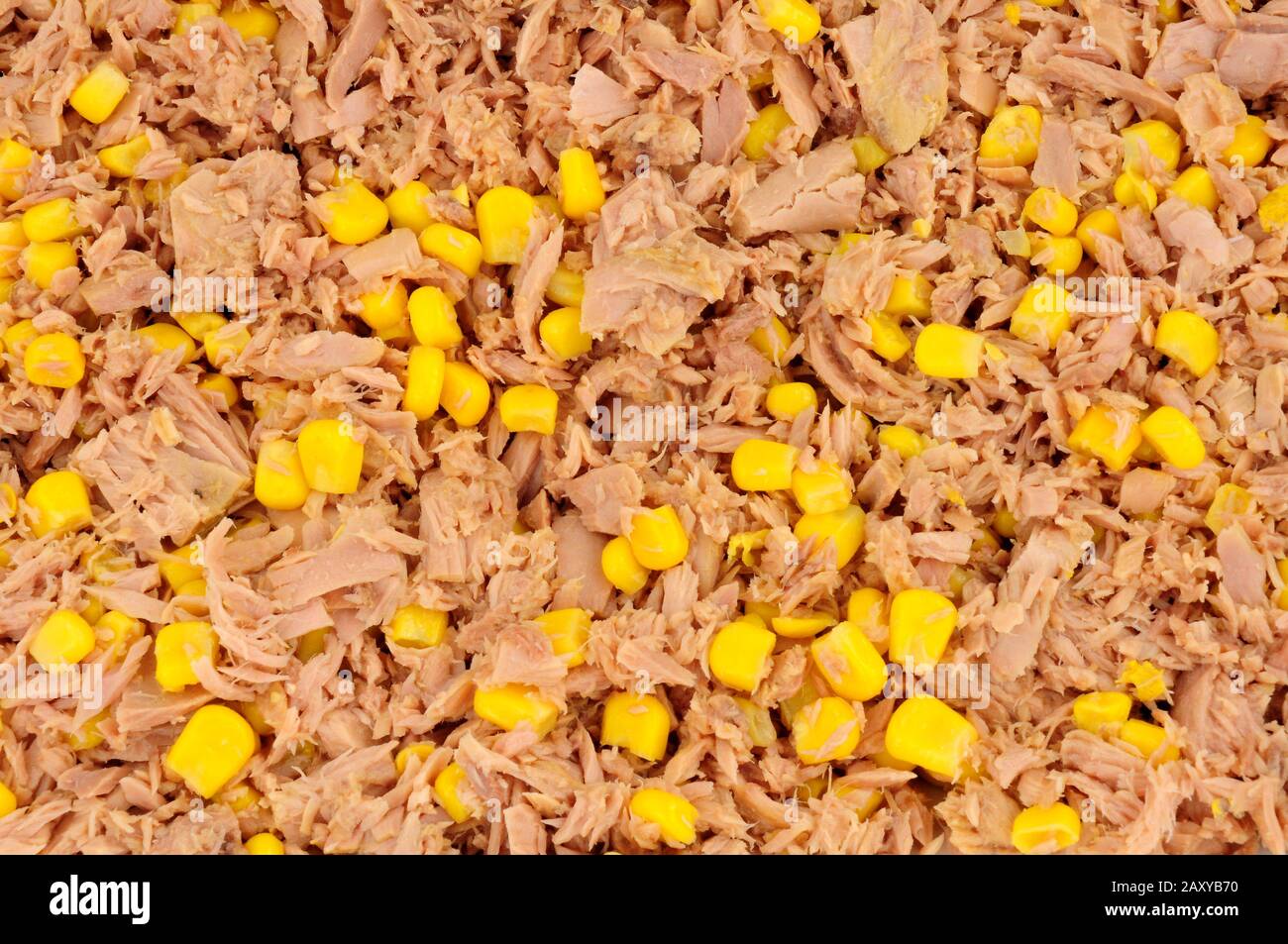 Flaked tuna fish and sweet corn background Stock Photo - Alamy