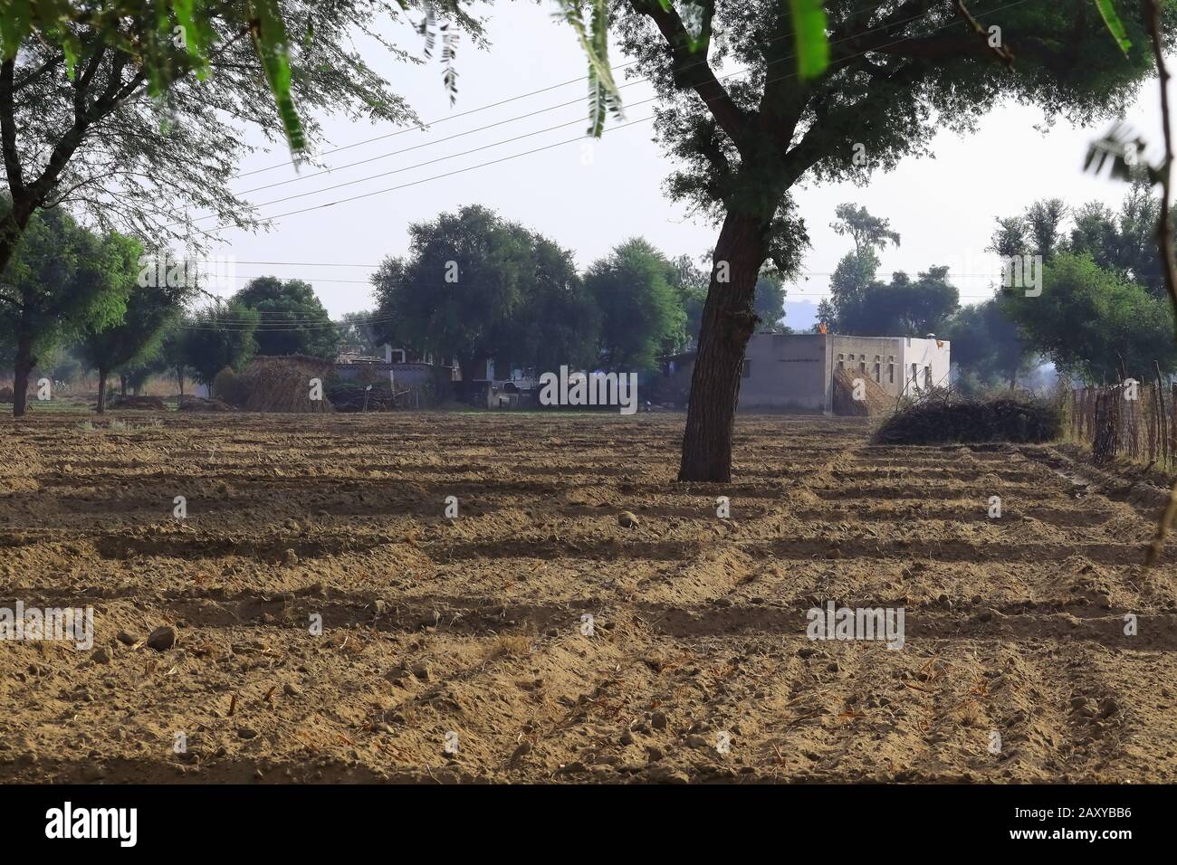 close up of empty brown farm fields with meadow and shadow background ...