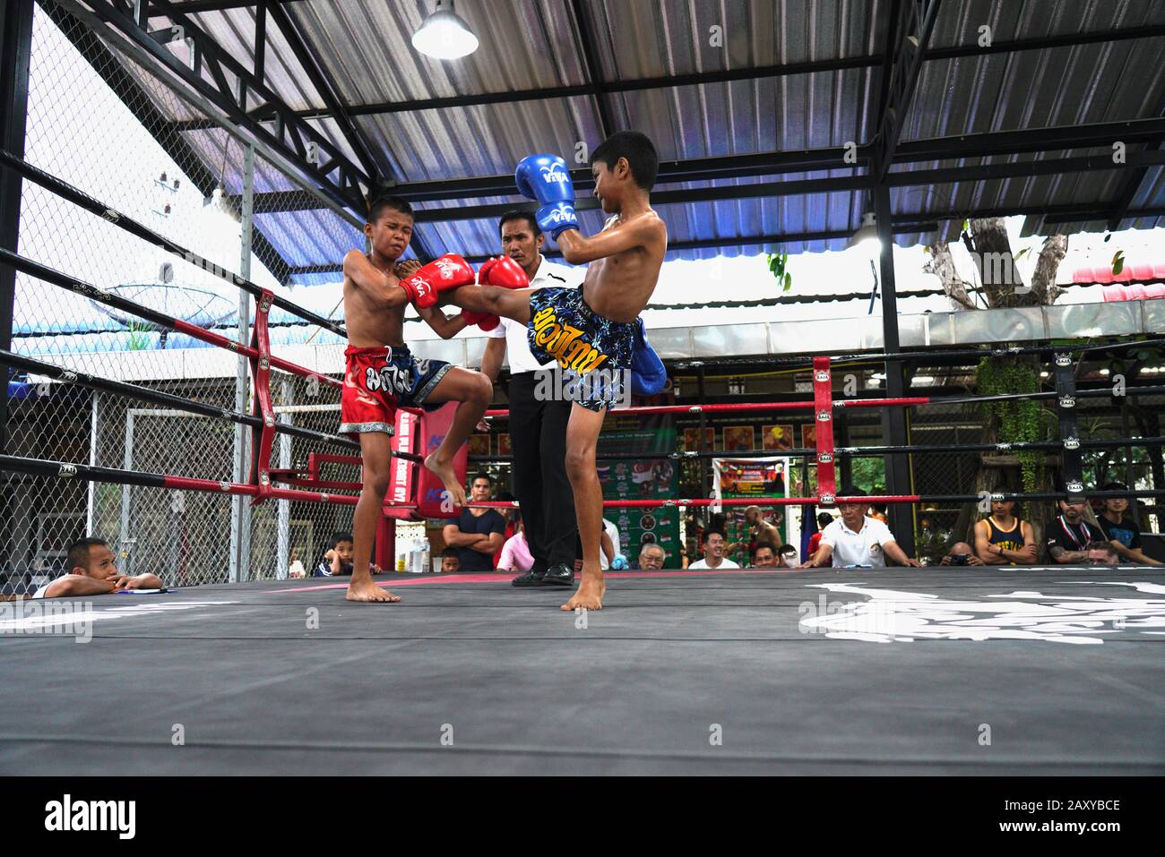 Children Muay Thai fighting competition at Ayutthaya, Thailand Stock ...