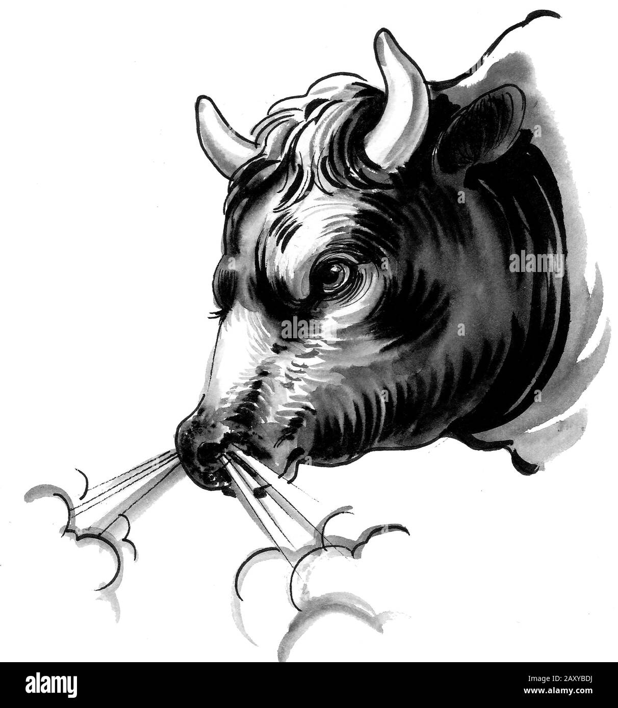 Angry bull head. Ink and watercolor illustration Stock Photo - Alamy