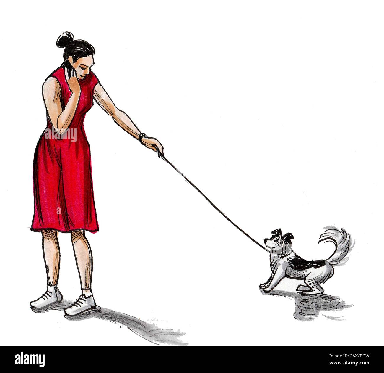 Lady walking dog Cut Out Stock Images & Pictures - Alamy