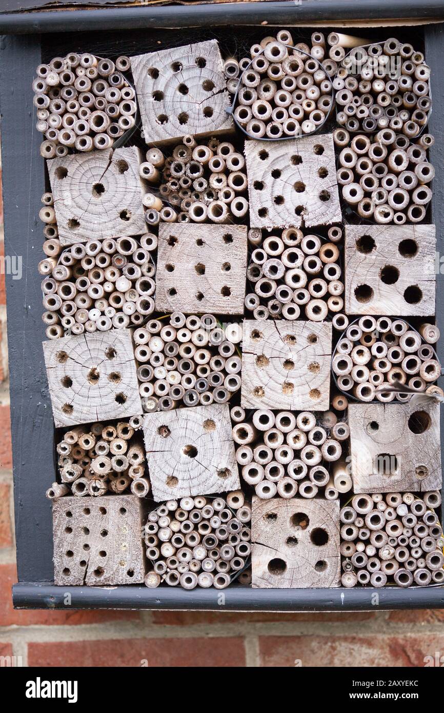 Garden bug box Stock Photo - Alamy