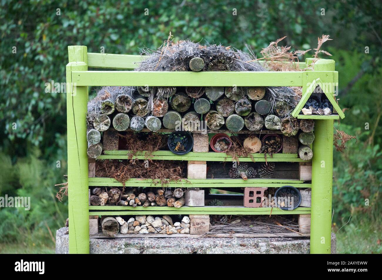 Garden bug box Stock Photo - Alamy