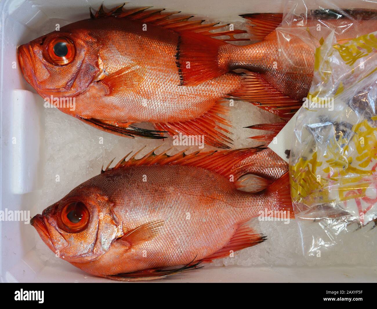 Red Sea Bream Japan High Resolution Stock Photography and Images - Alamy