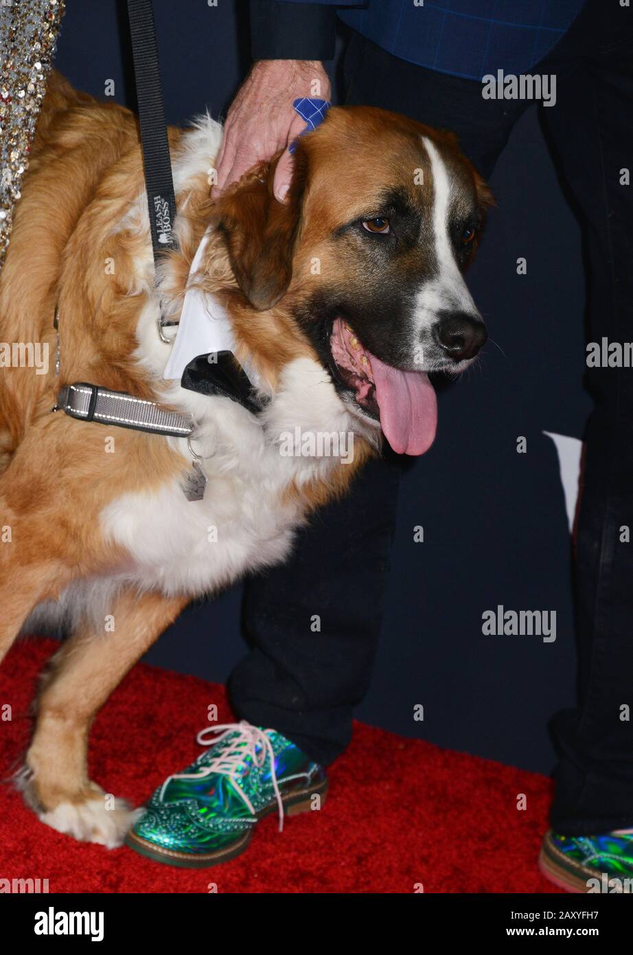 Los Angeles, USA. 13th Feb, 2020. Chris Sanders, wife Jessica Steele ...