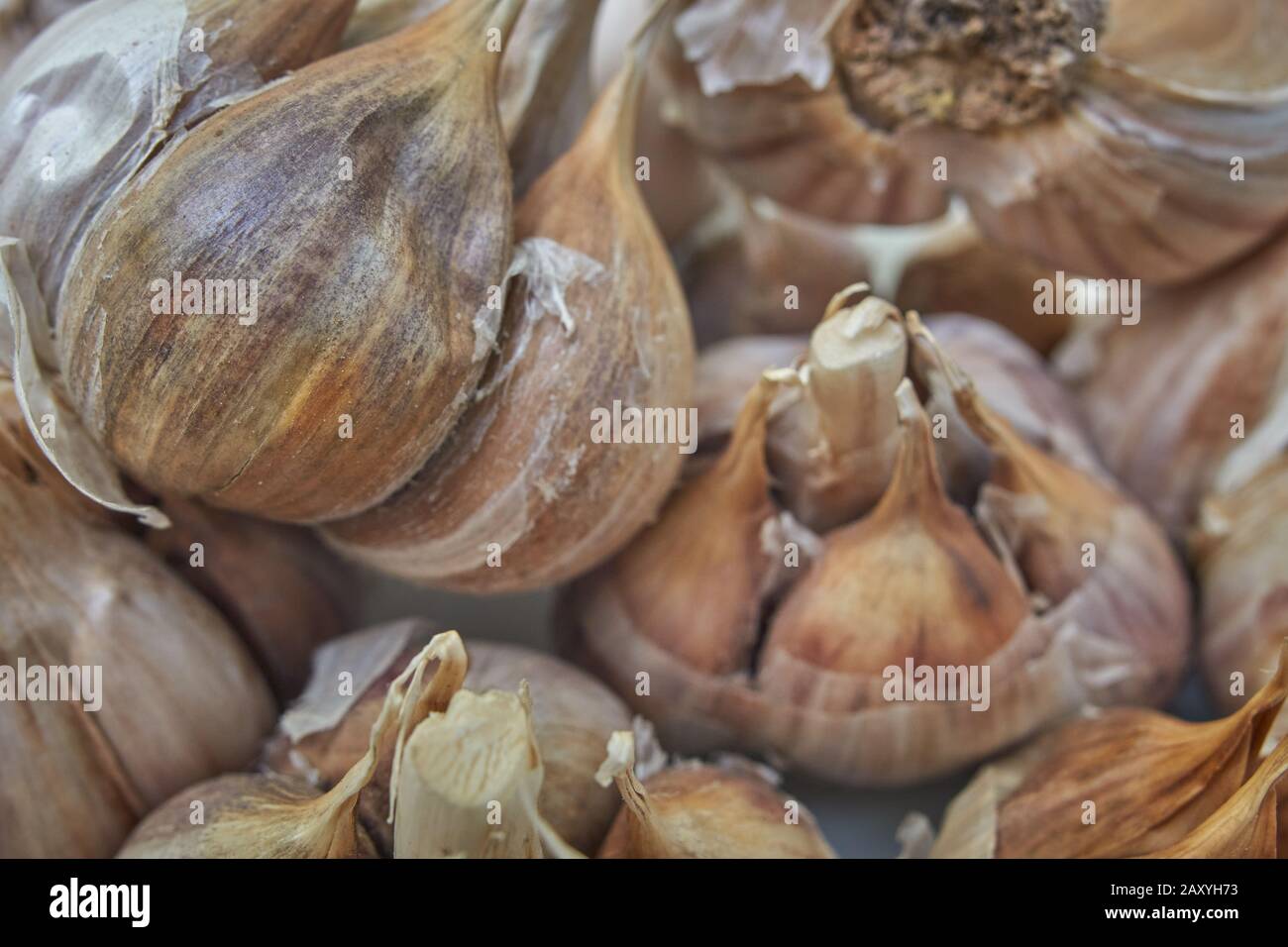 Macro Photo food garlic bulb. Background texture Plant vegetable garlic ...