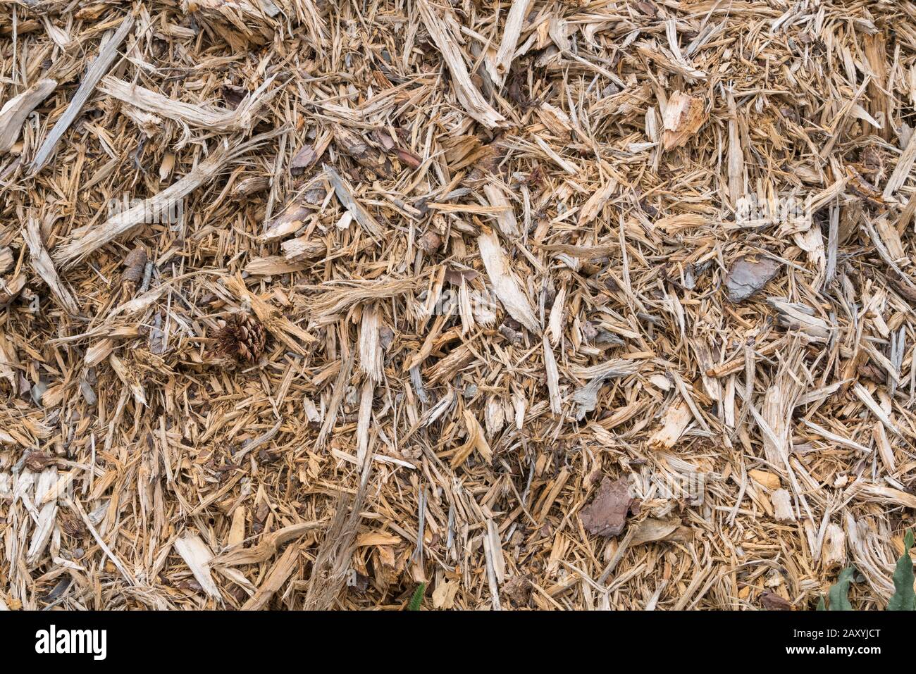 Wood scrap pile. Construction material. Wood texture background. Raw ...