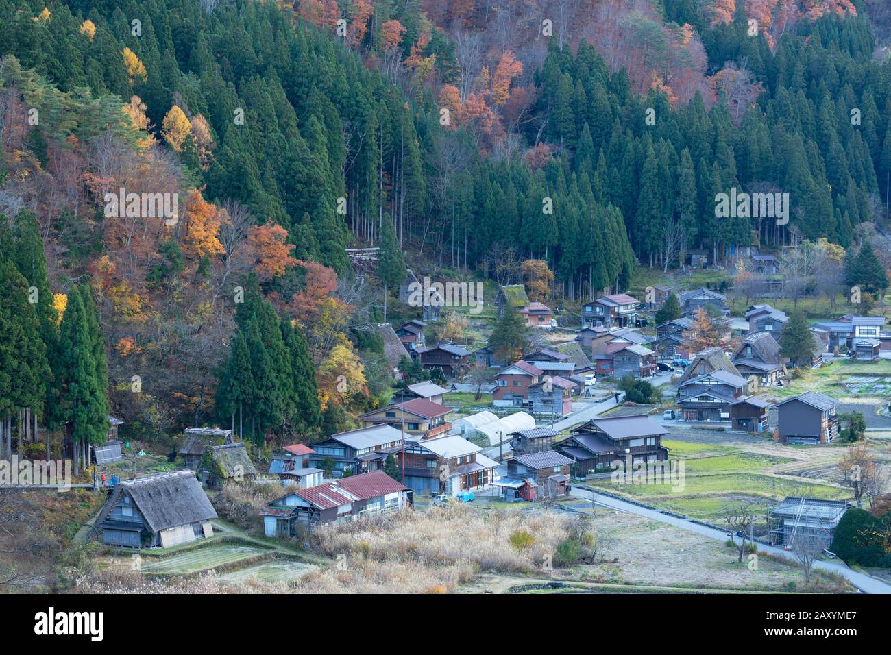 Elevated view of Ogimachi (UNESCO World Heritage Site), Shirakawa-go ...