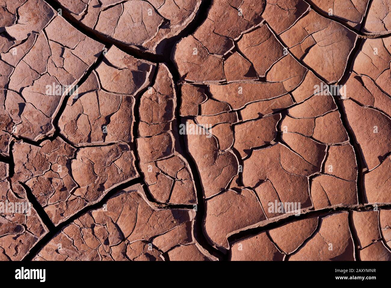 Skin cracking hi-res stock photography and images - Alamy