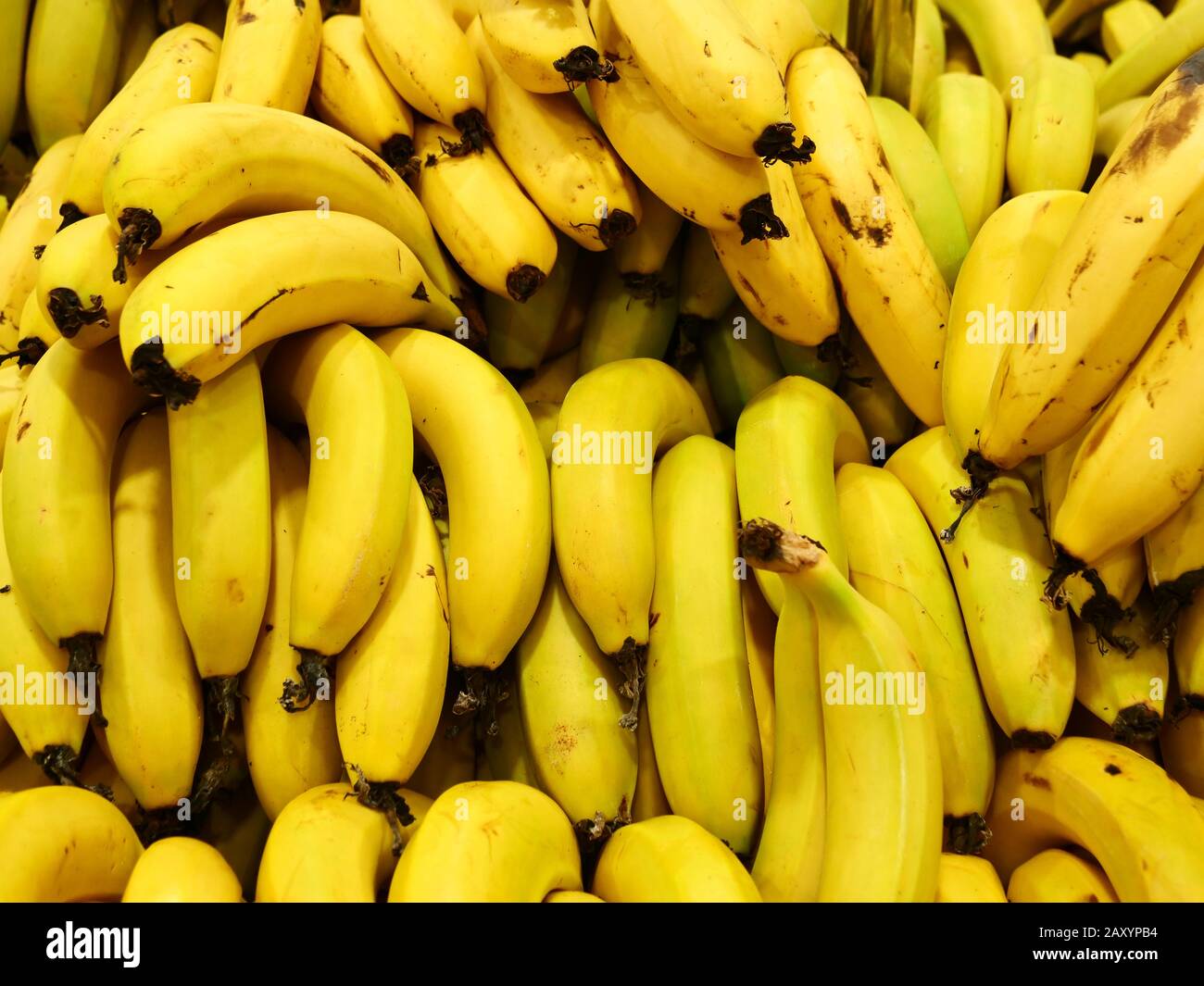 Bananas only view hi-res stock photography and images - Alamy