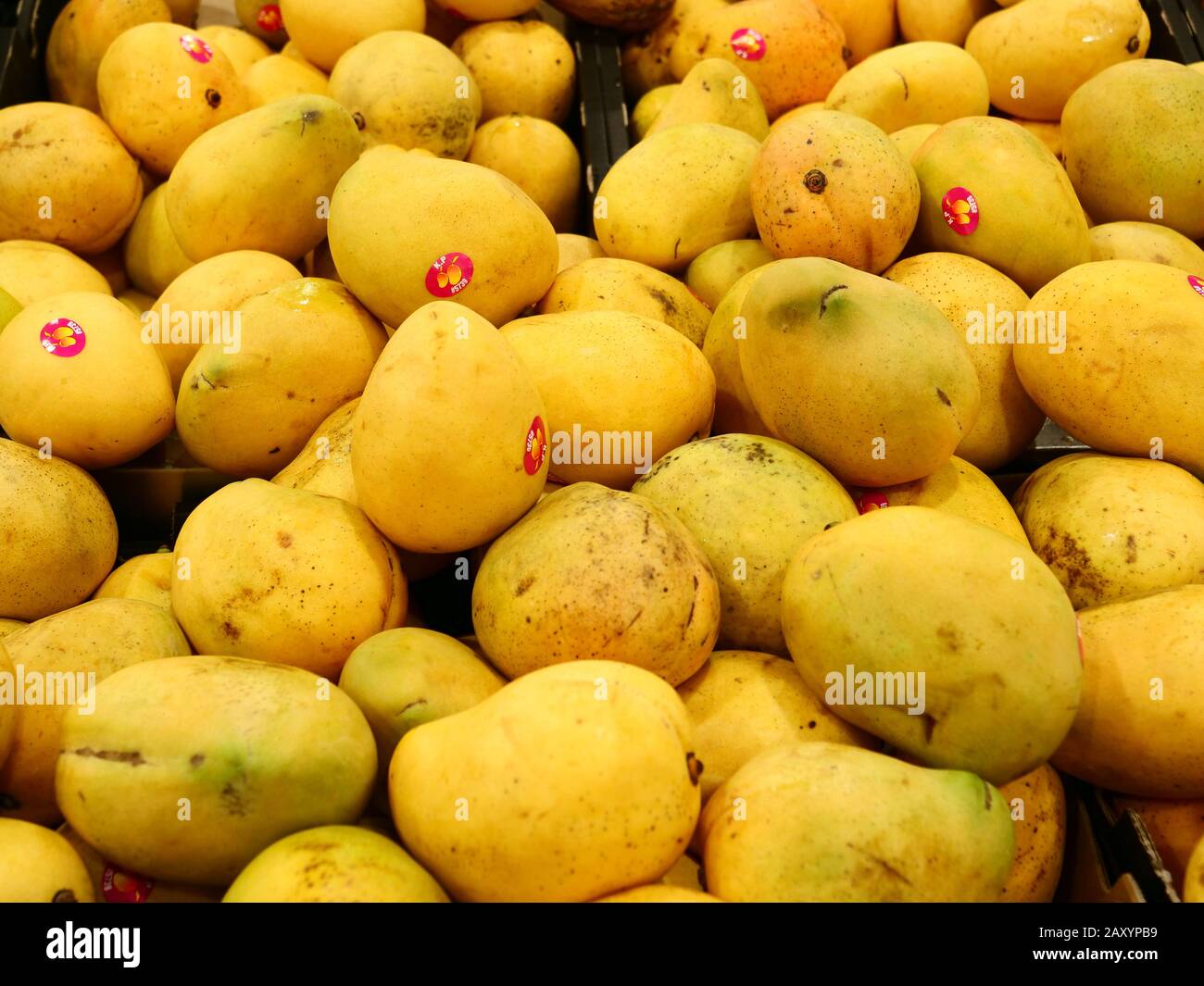 Mangos only view hi-res stock photography and images - Alamy