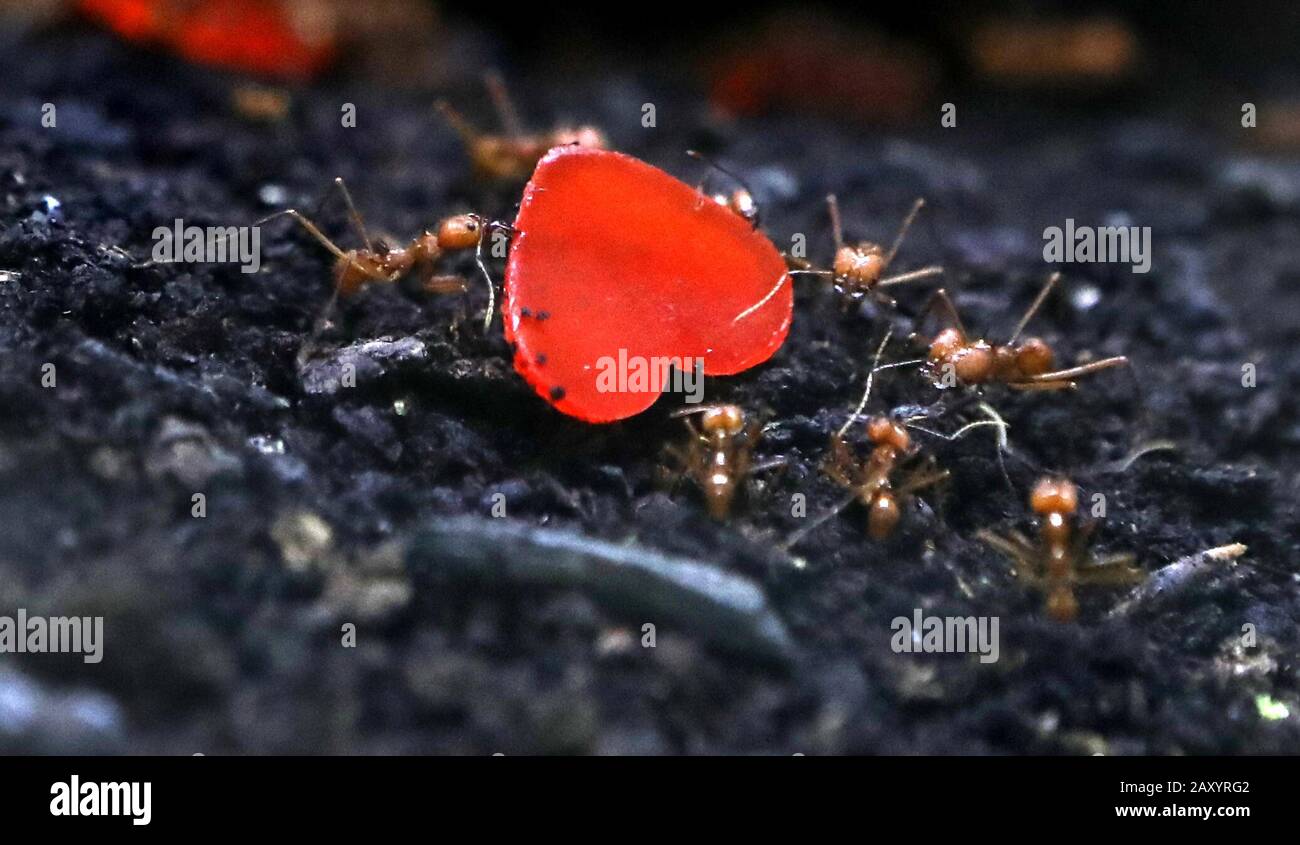 Scottish safari park hi-res stock photography and images - Alamy