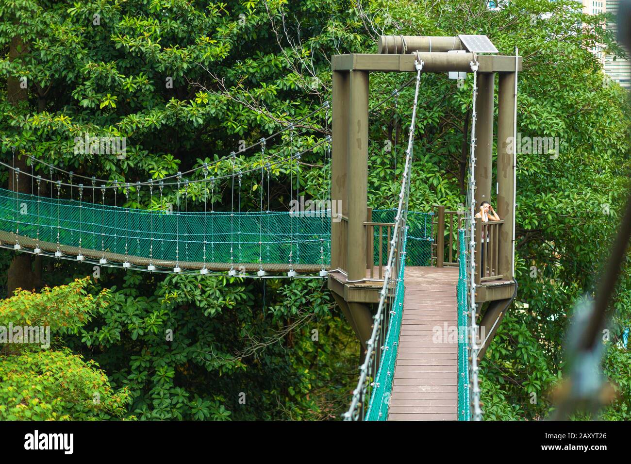 Beautiful green park with cable cars. Wildlife corner in a modern city ...
