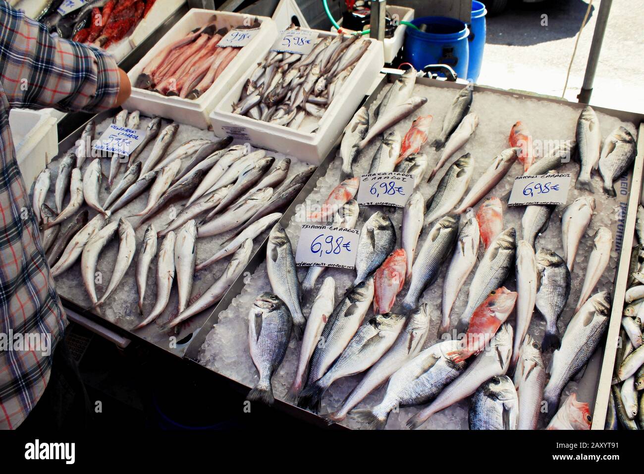 Mediterranean sea bream fish market hi-res stock photography and images ...