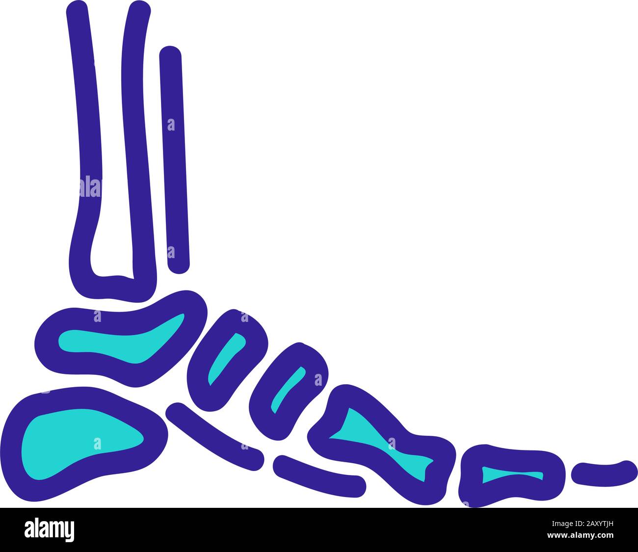 Foot bone icon vector. Isolated contour symbol illustration Stock ...