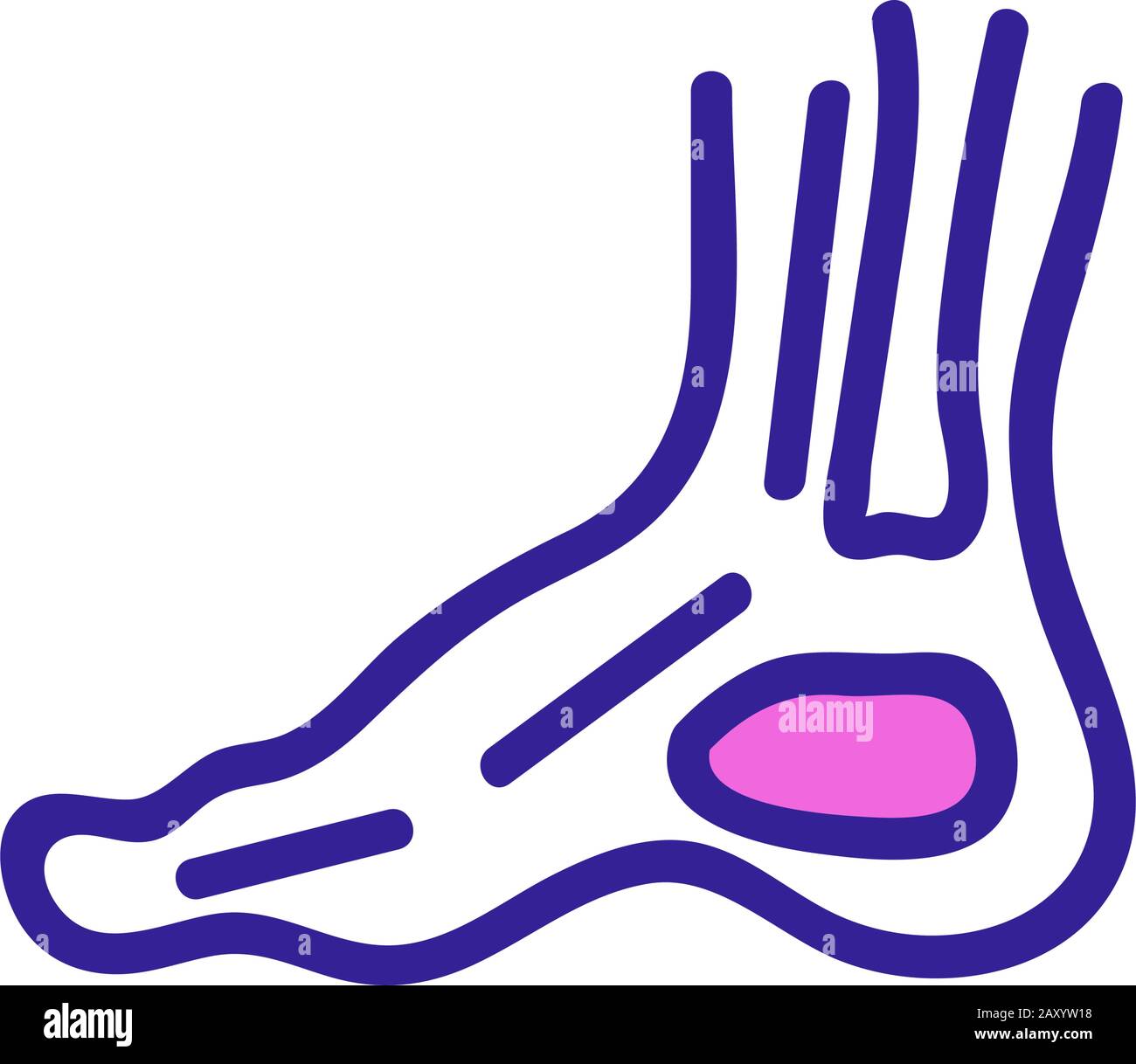 foot icon vector. Isolated contour symbol illustration Stock Vector ...