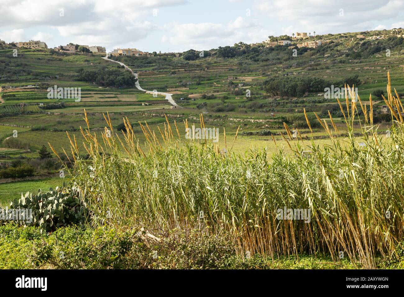 Beautiful nature of Gozo island, Malta Stock Photo - Alamy