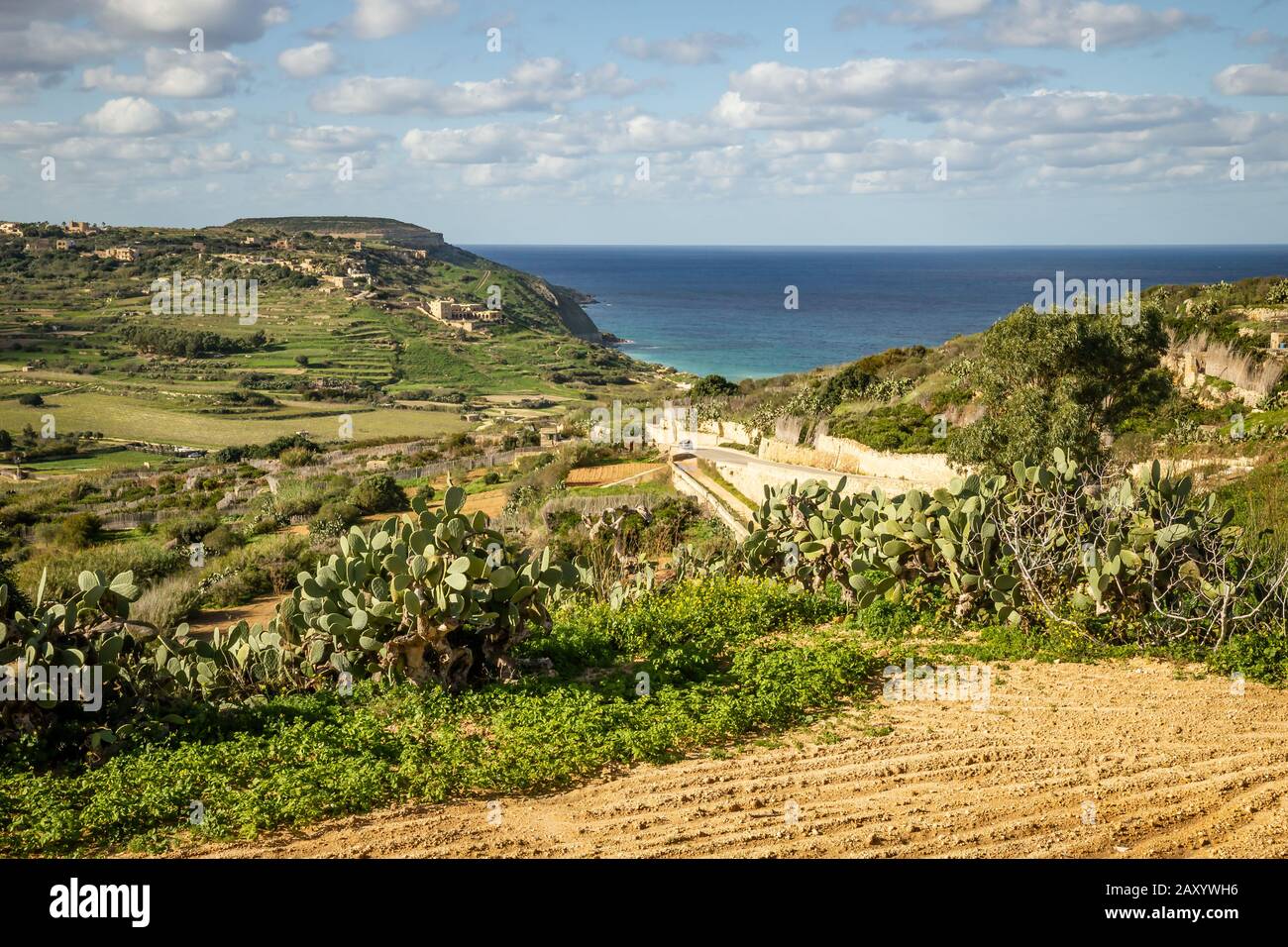 Beautiful nature of Gozo island, Malta Stock Photo - Alamy