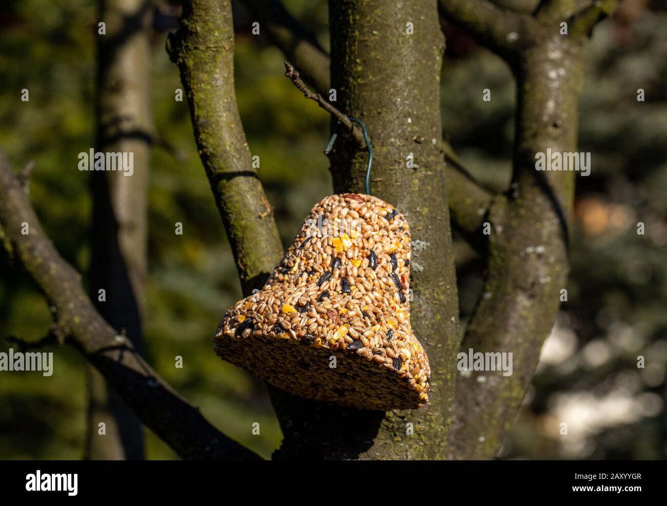 Bell from various grains, a delicacy for all the birds in the garden ...