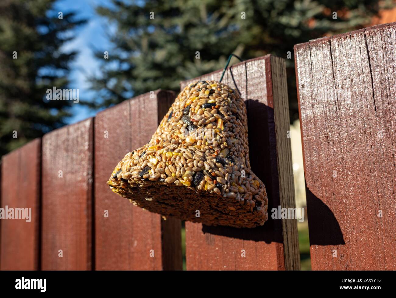 Bell from various grains, a delicacy for all the birds in the garden ...