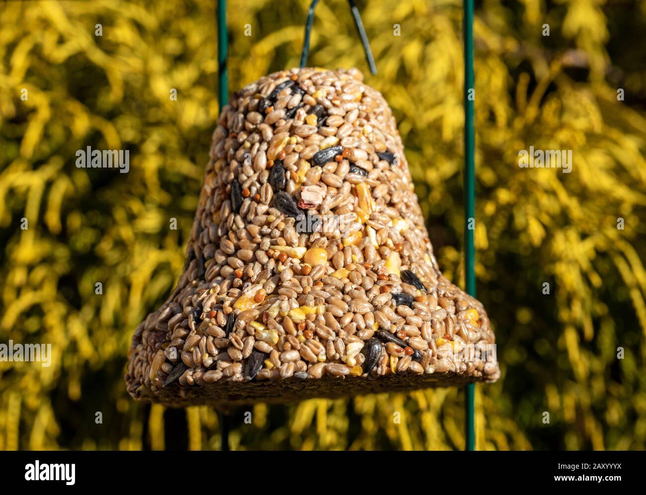 Bell from various grains, a delicacy for all the birds in the garden ...