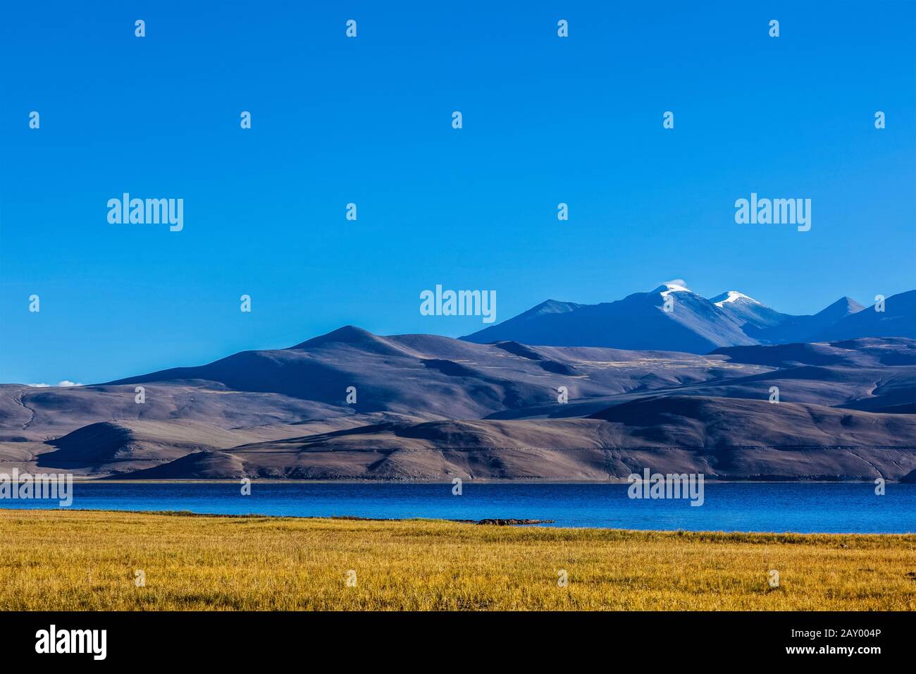 Lake Tso Moriri in Himalayas, Ladakh, India Stock Photo - Alamy