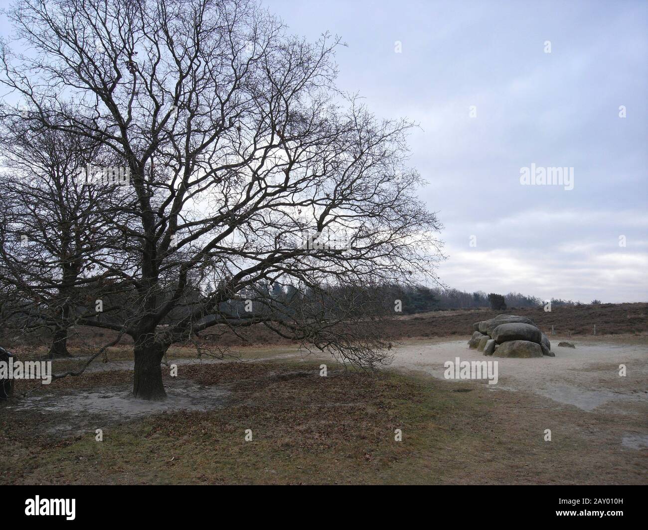 Hunebed (dolmen) megalithic tomb from the early Neolithic near Havelte ...
