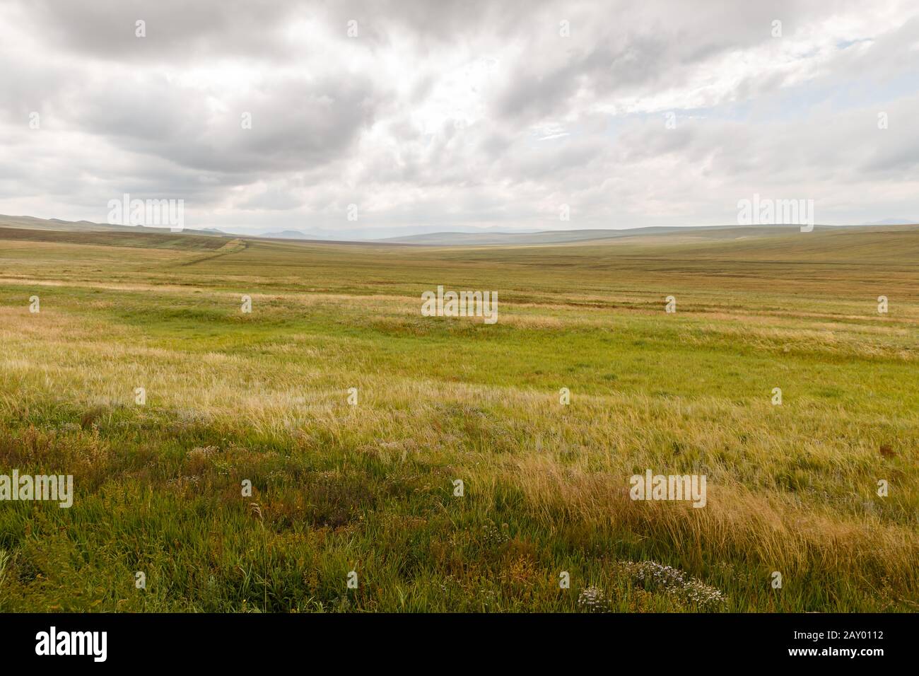 Mongolian steppe on the background of a cloudy sky, Mongolian steppe ...