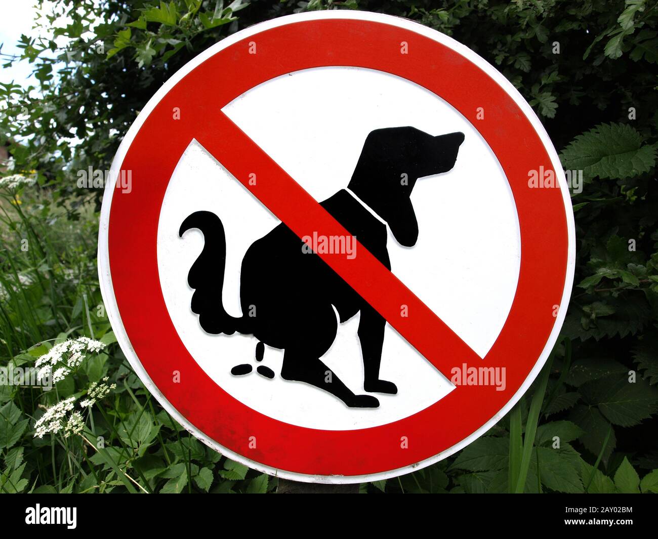 Not here sh Stock Photo - Alamy