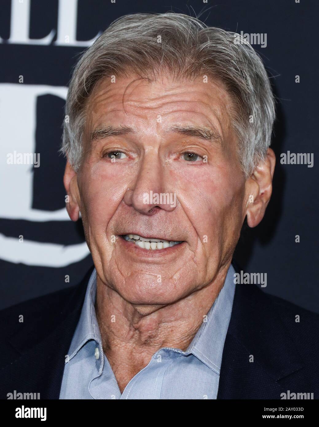 HOLLYWOOD, LOS ANGELES, CALIFORNIA, USA - FEBRUARY 13: Actor Harrison ...