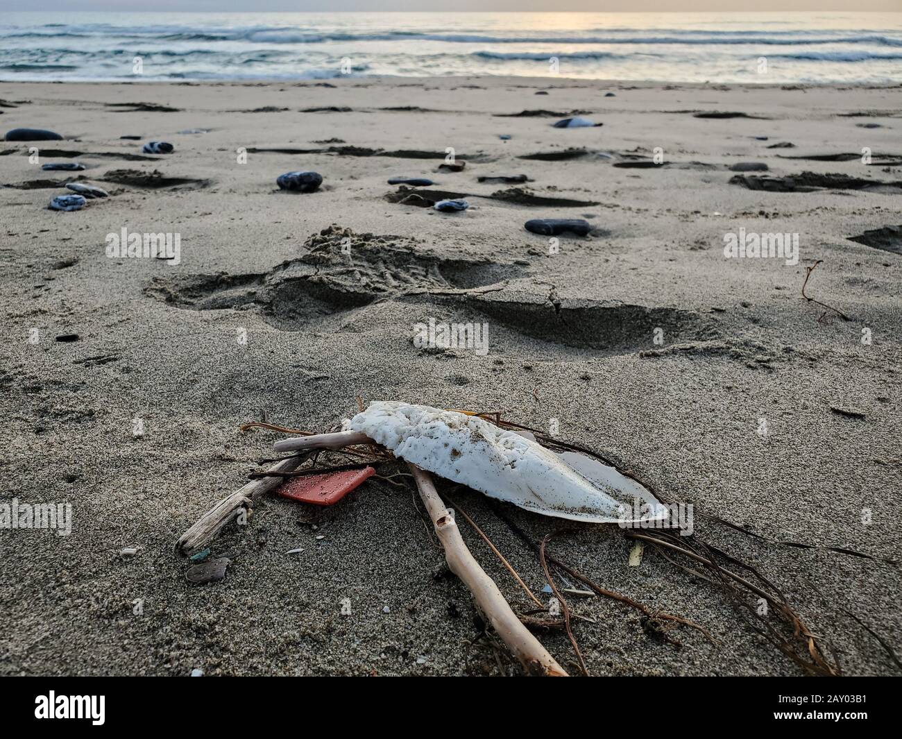 Bone damage hi-res stock photography and images - Alamy