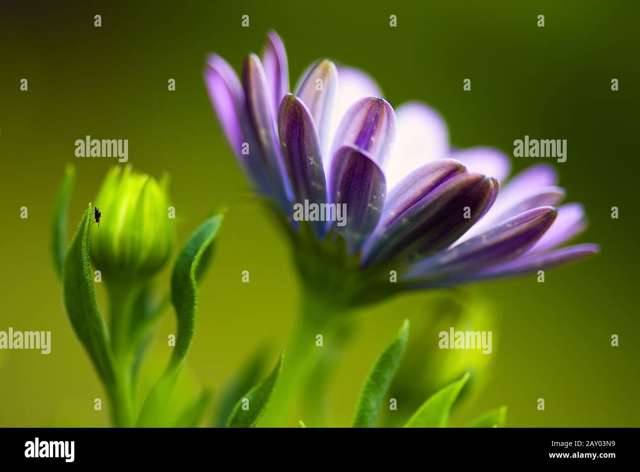 Stopover hi-res stock photography and images - Alamy