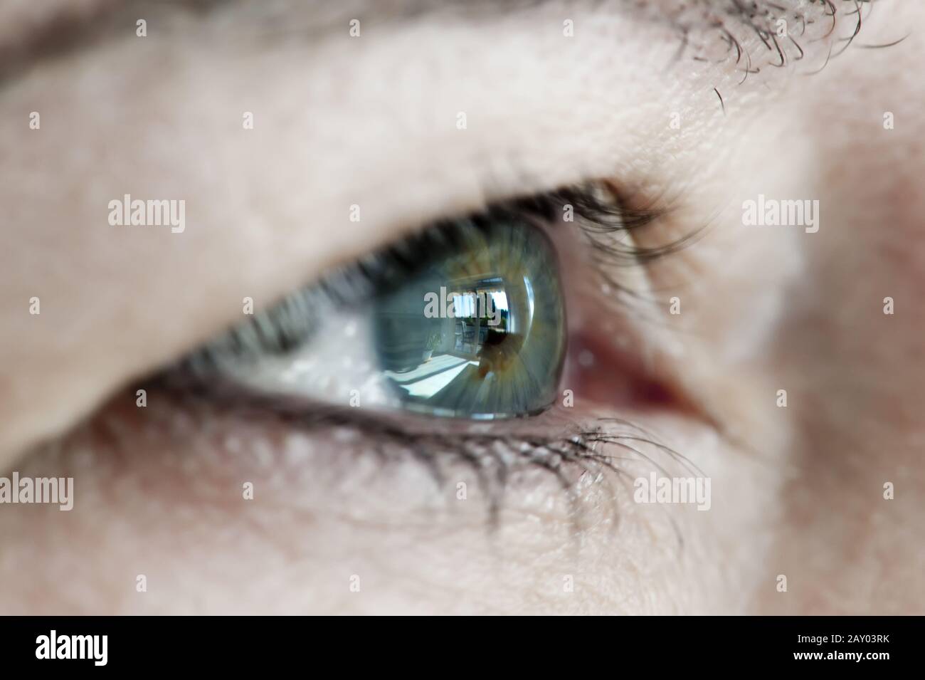 human eye in side view Stock Photo - Alamy