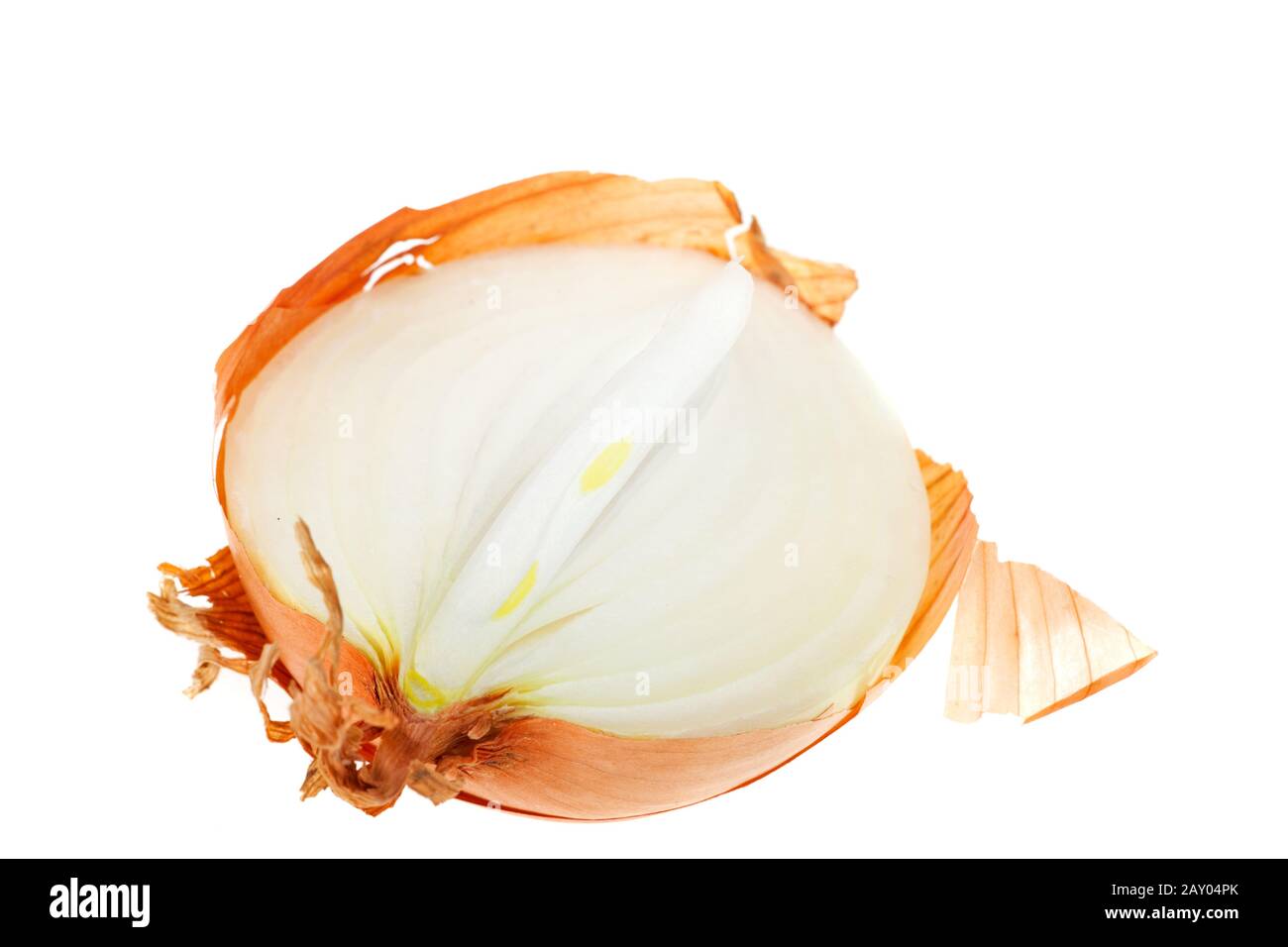 Half onion isolated on white background Stock Photo - Alamy