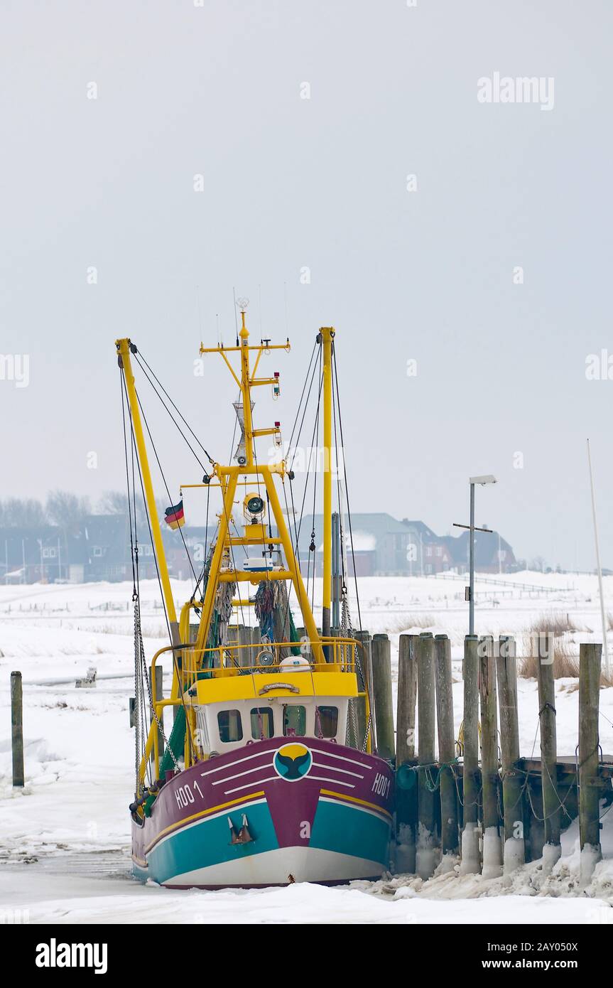 Crab cutter hi-res stock photography and images - Alamy
